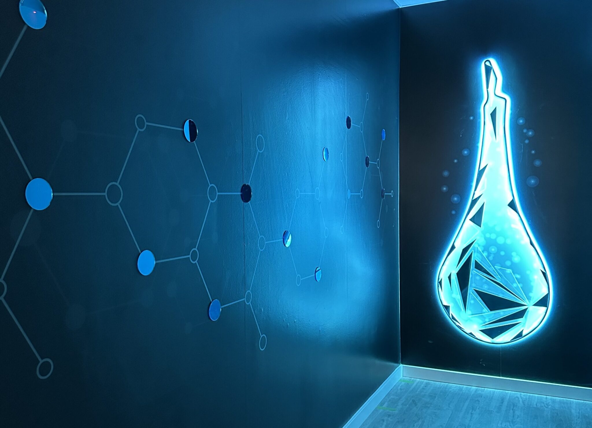 Wall Murals - Precision Graphix